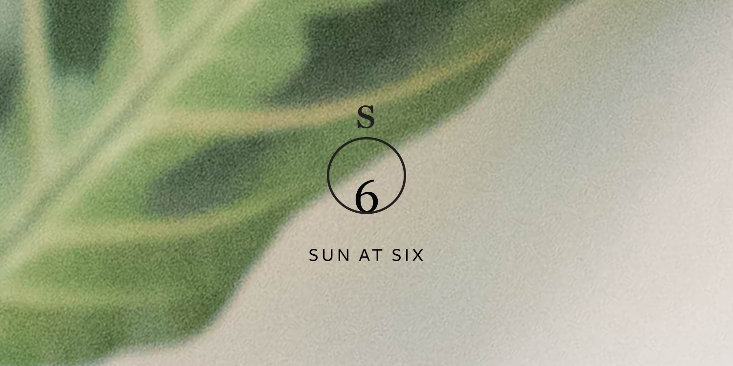 Sitka White Ash Side Table – Sun at Six